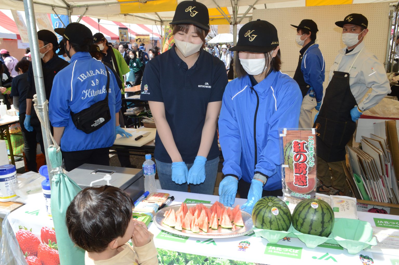 SAKURAフェスティバルでPR | JA北つくば